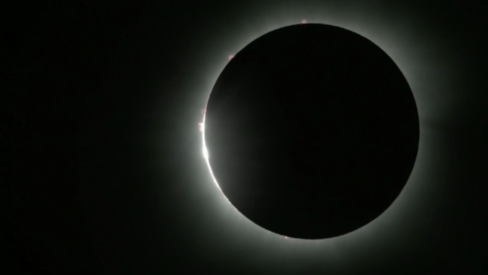 View All Episodes | Science LIVE