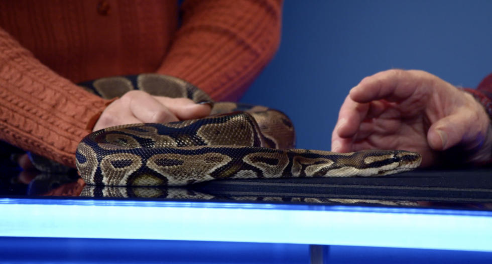 Science LIVE with Dr. Roger Billings | Episodes